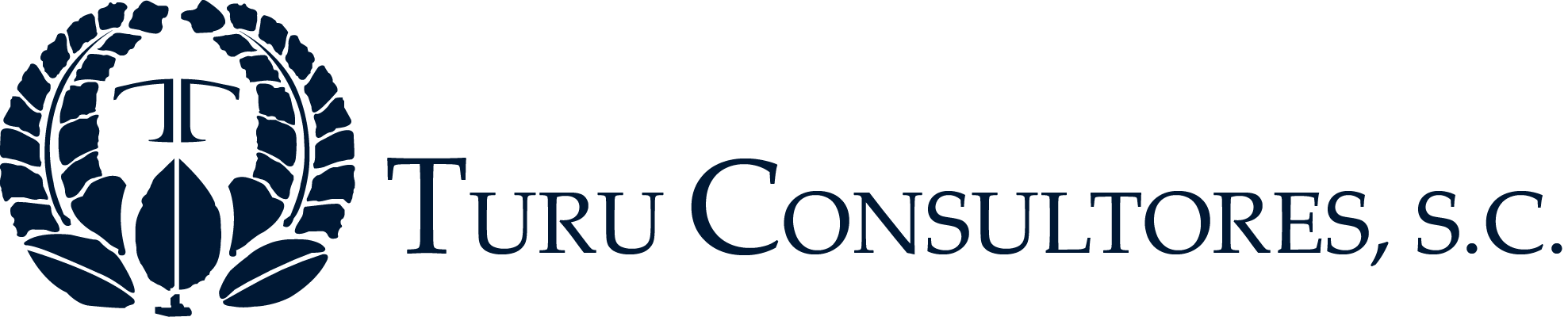 Turu Consultores